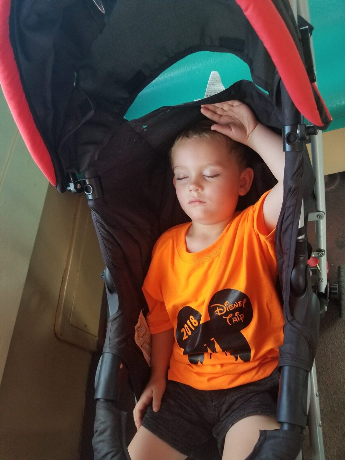 The Best Guide For Disney World With A Baby or Toddler | Magic and Coasters